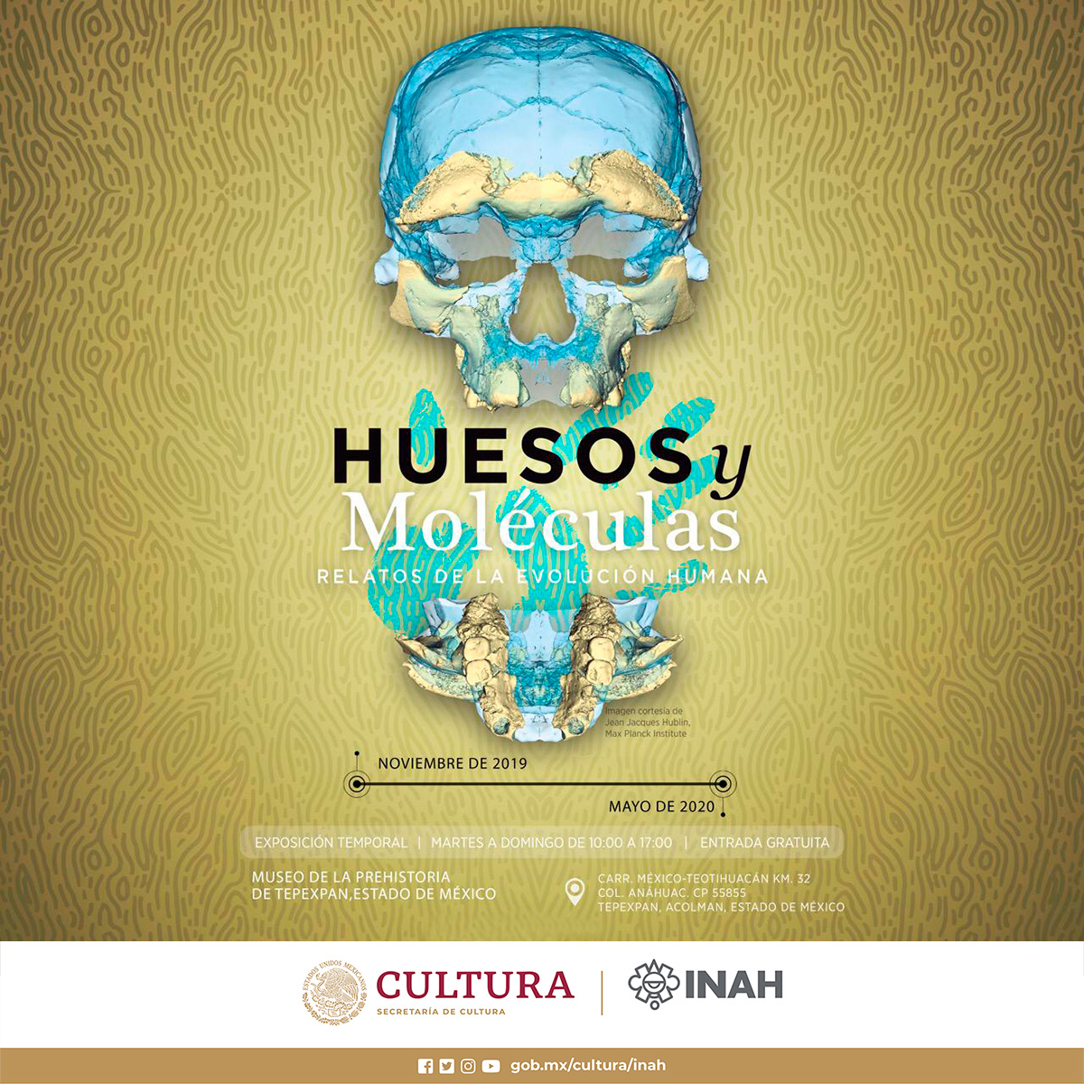 huesosymoleculas – SITIO OFICIAL DE LA Red-MIFA